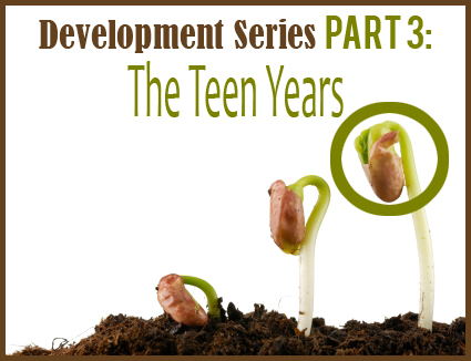 Development Part 3: The Teen Years